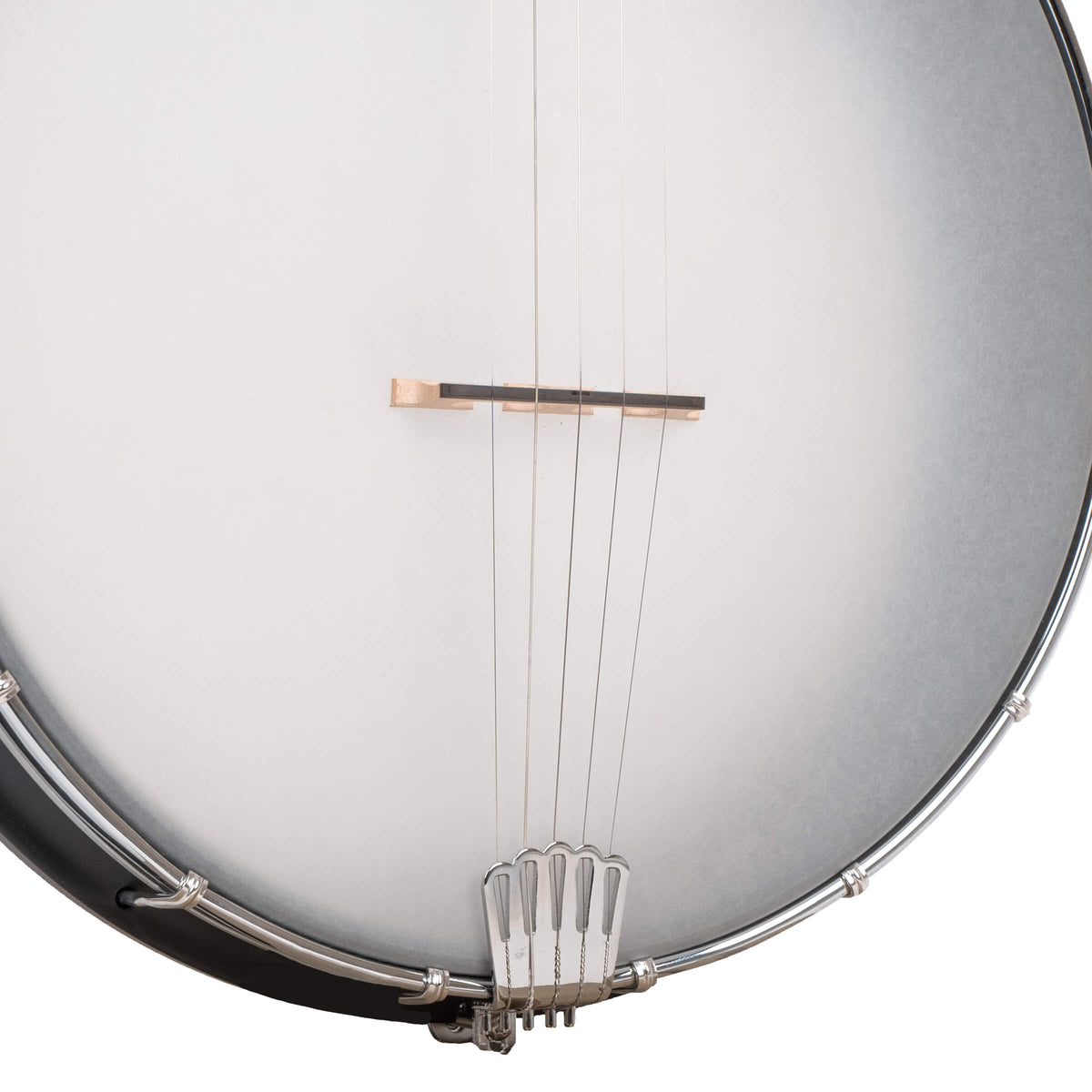 Gold Tone AC-12 Composite Openback Banjo – House of Musical Traditions