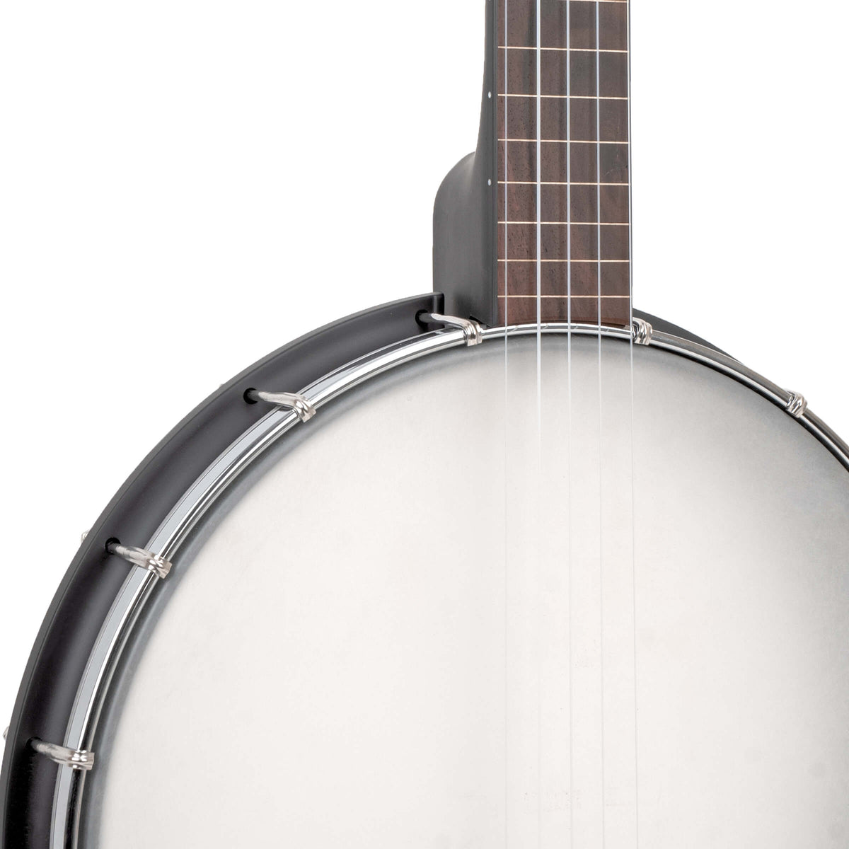 Gold Tone AC-12FL Composite Fretless Openback Banjo – House of Musical ...