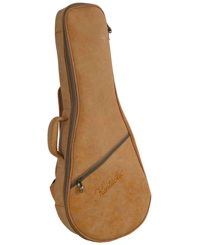 Kentucky KM-300E 4-String Electric Mandolin – Traditional Sunburst ...