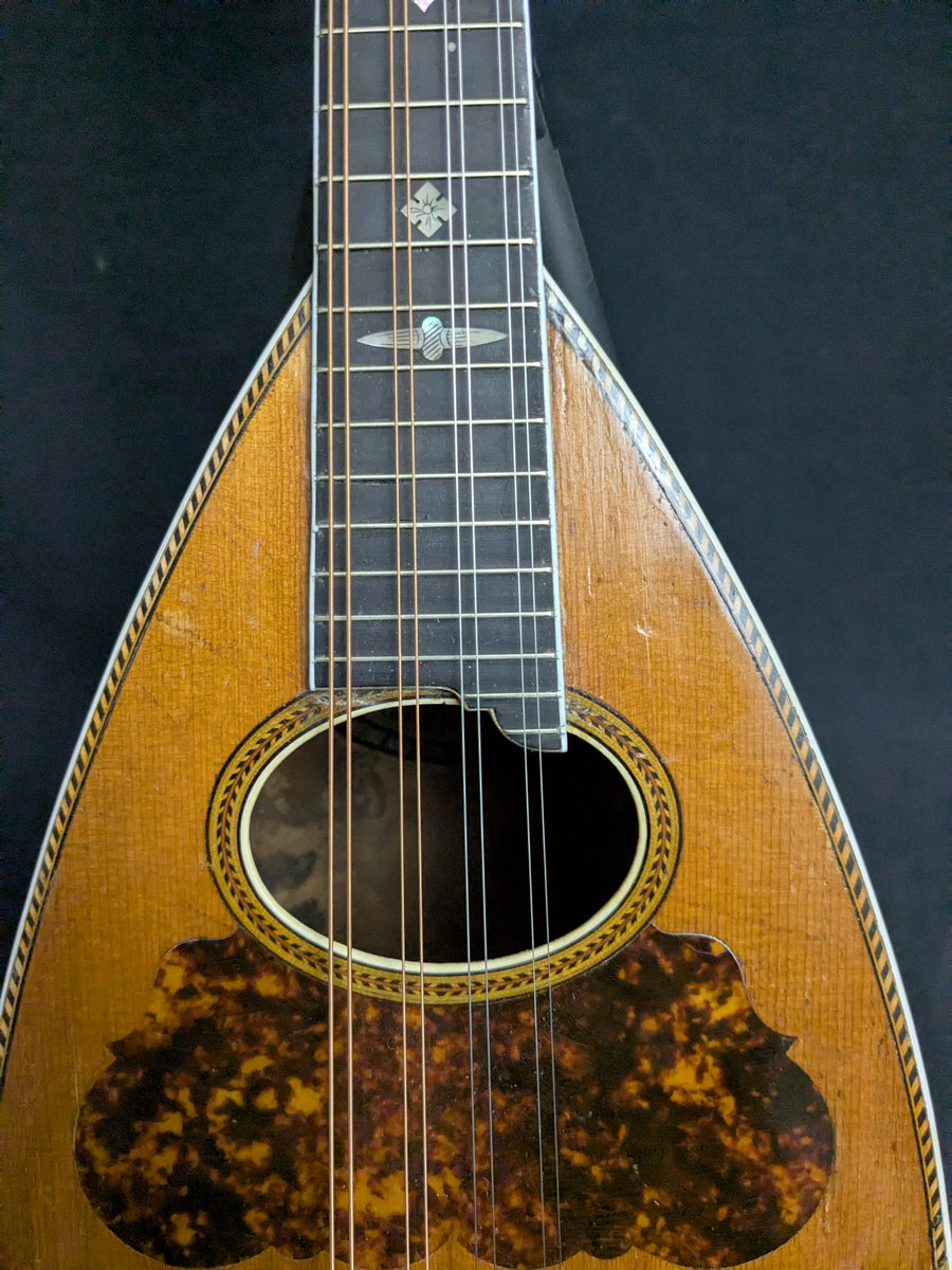 Washburn Bowl-back Mandolin Style 122 (used) – House of Musical Traditions